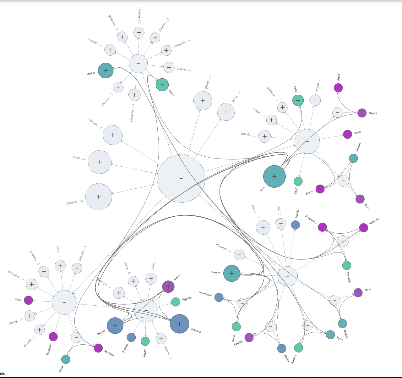 Graph Visualization Consulting - Graph Consulting